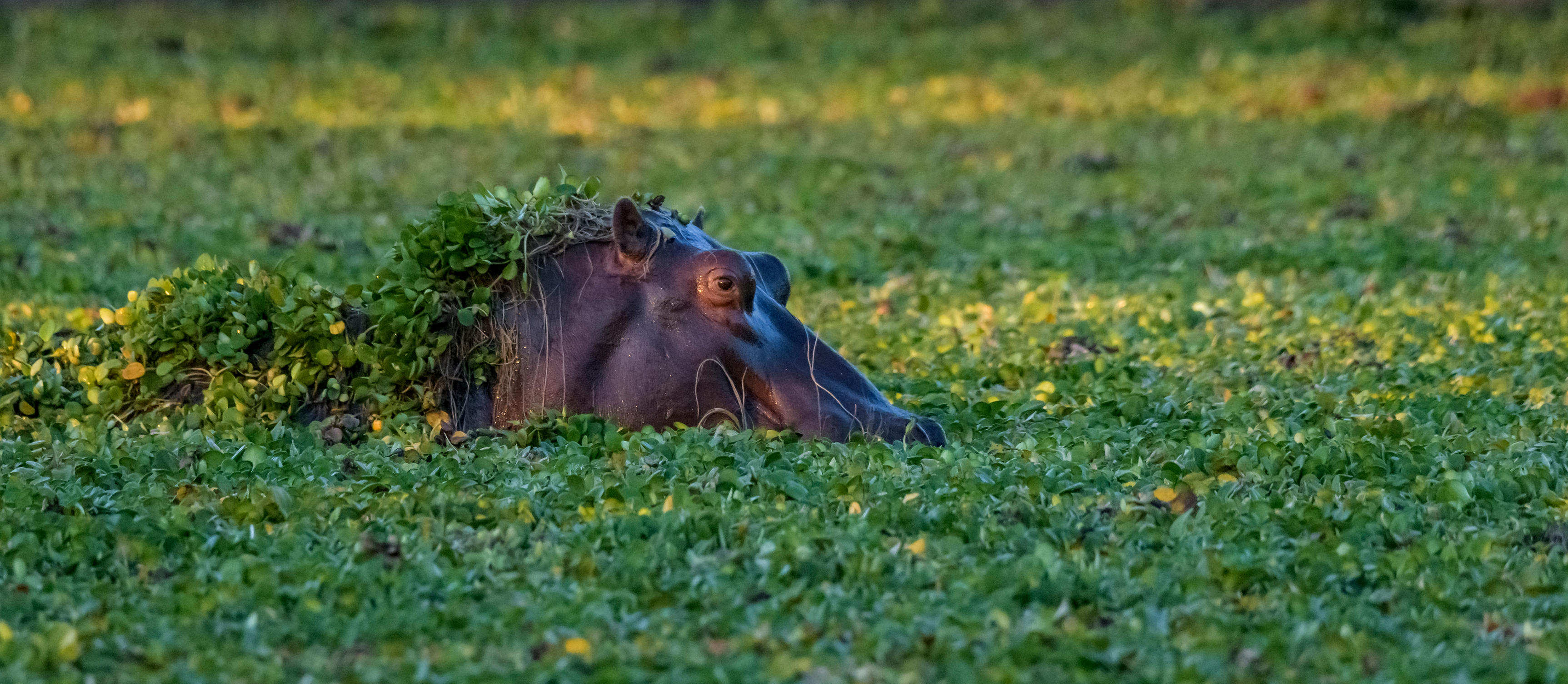 Zimbabwe Tourism – Information, Facts, Advices in Travel Guide | Planet ...