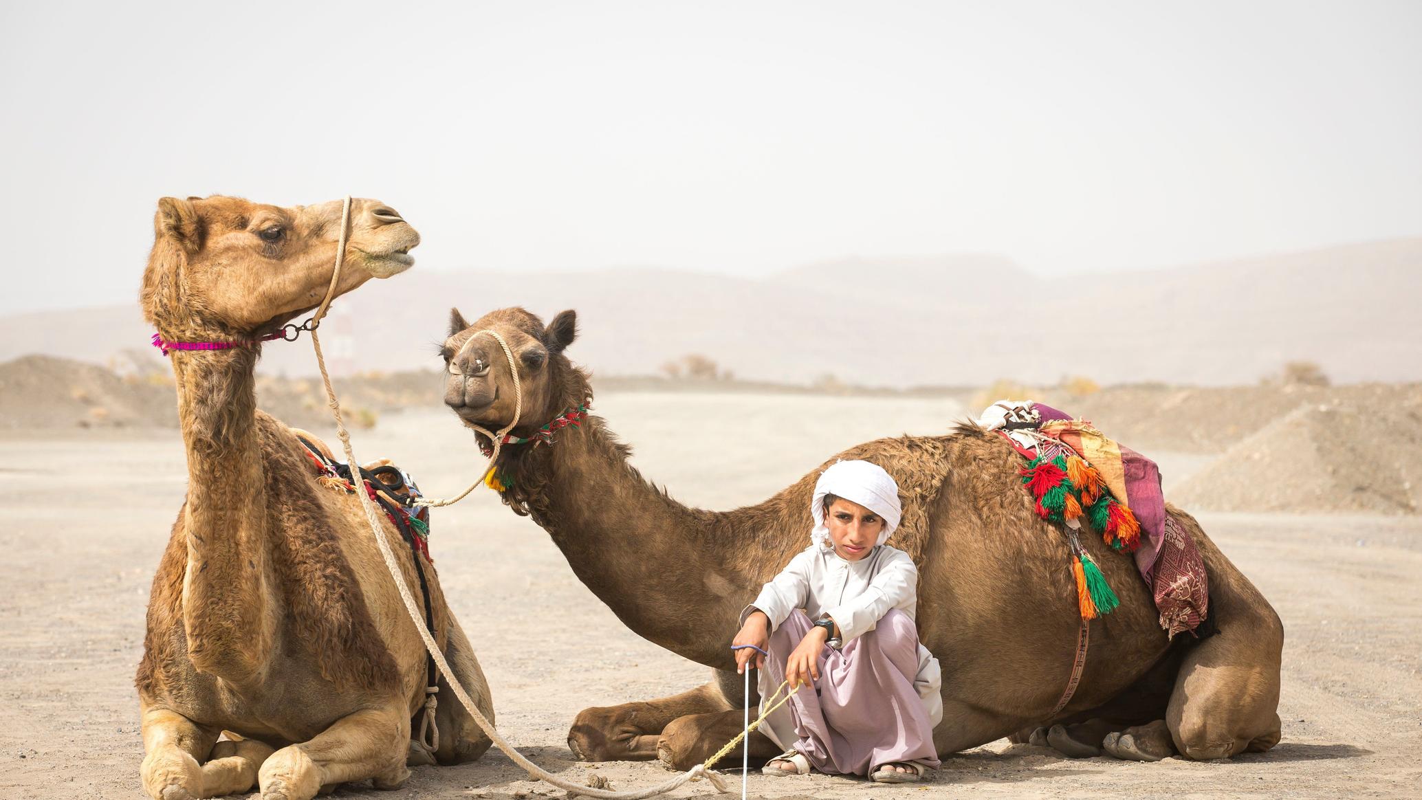 Oman Tourism – Information, Facts, Advices in Travel Guide | Planet of ...