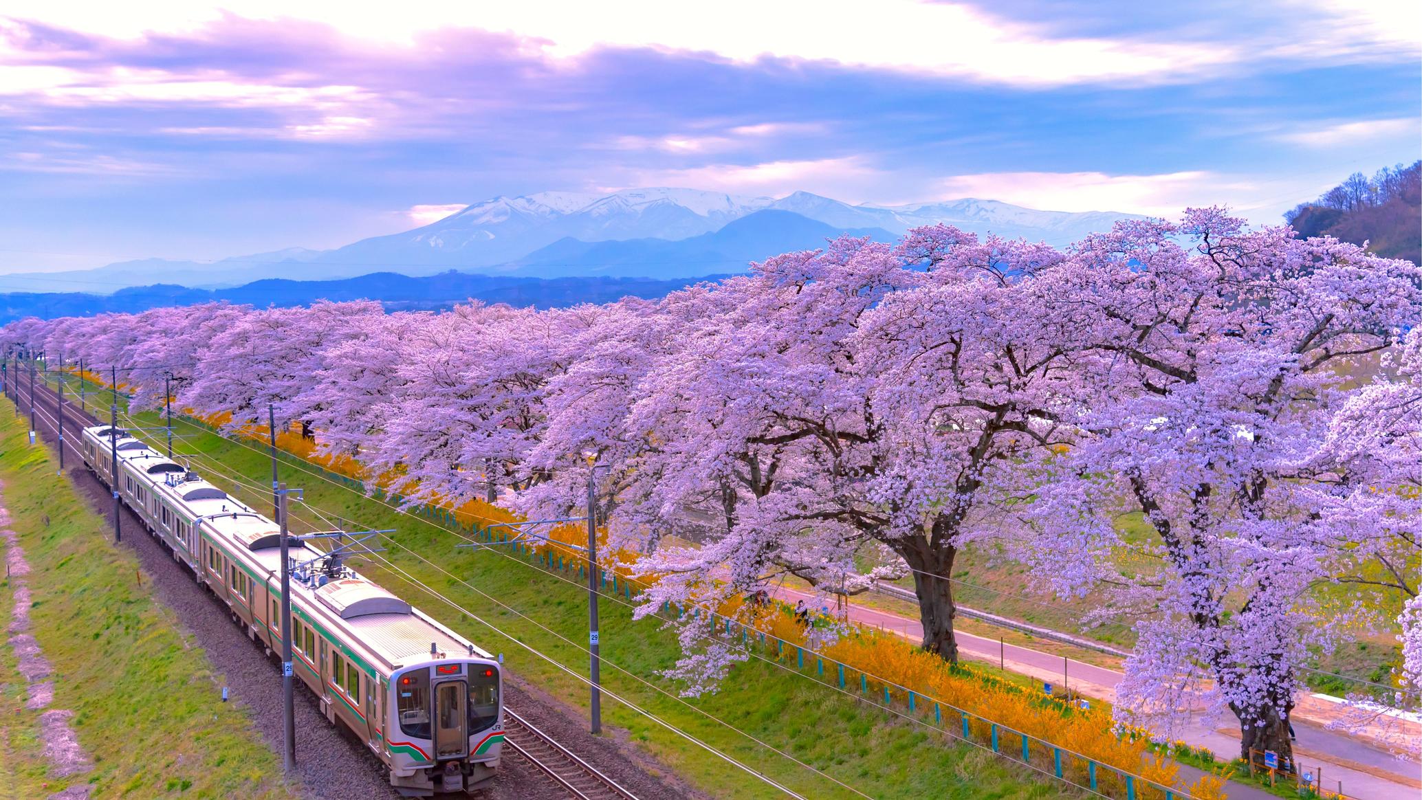 Tohoku, Japan - Travel Guide | Planet of Hotels