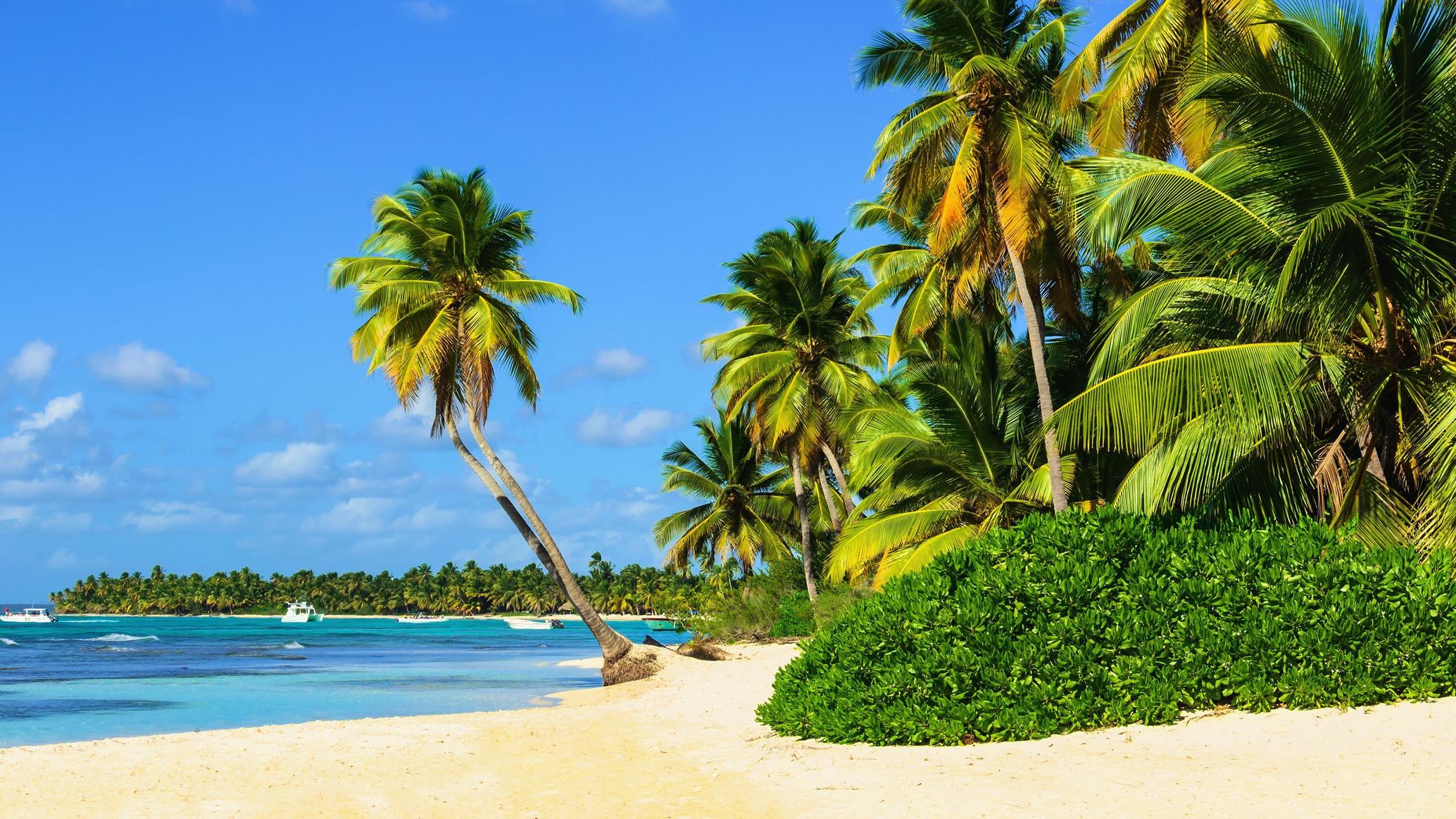 Vieques - Tourist Guide | Planet of Hotels