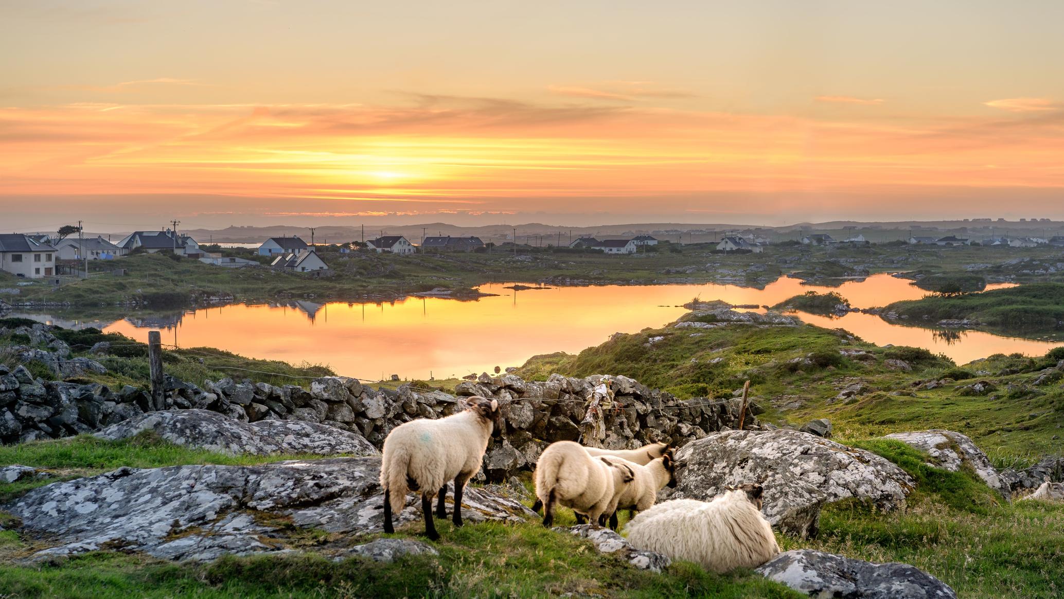 Kenmare — Tourist Guide | Planet of Hotels