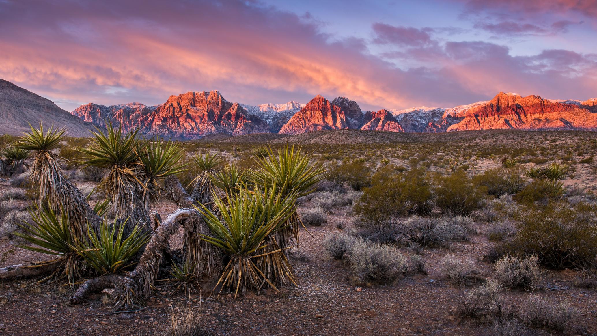 Nevada Estados Unidos Guía Y Viajes Por La Región