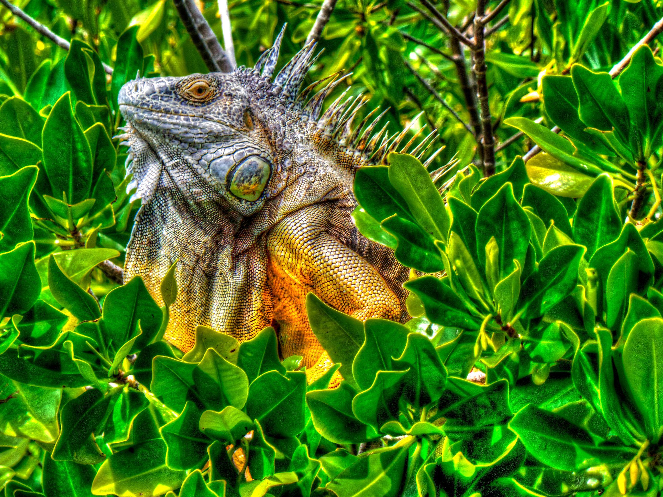 Cayman Islands Tourism – Information, Facts, Advices in Travel Guide ...