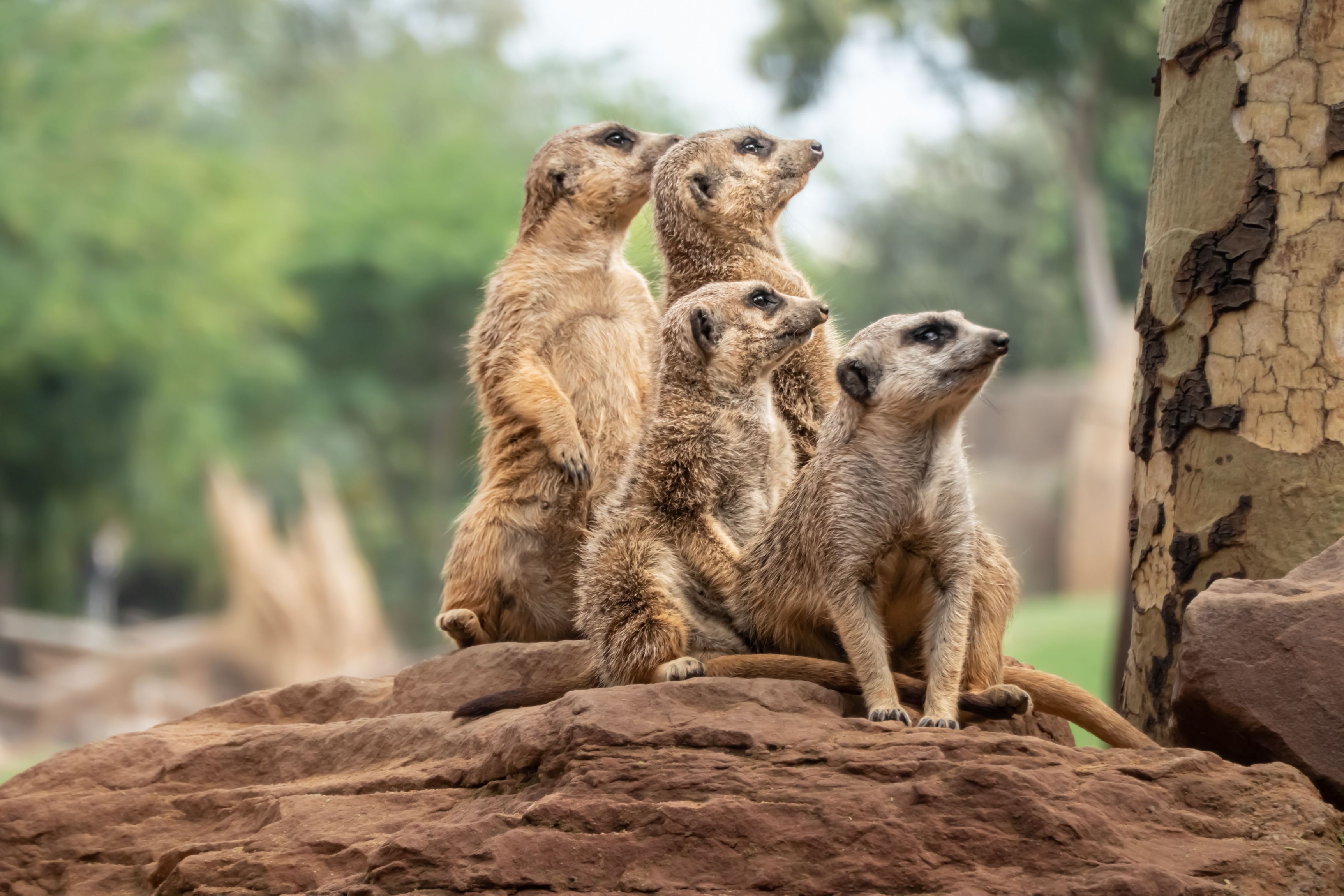 Angola Tourism – Information, Facts, Advices in Travel Guide | Planet ...