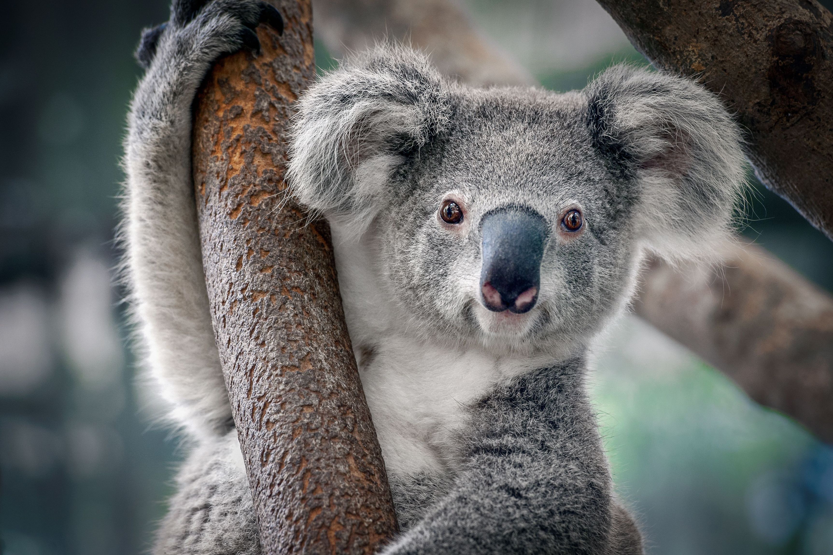 Australia Tourism – Information, Facts, Advices in Travel Guide ...