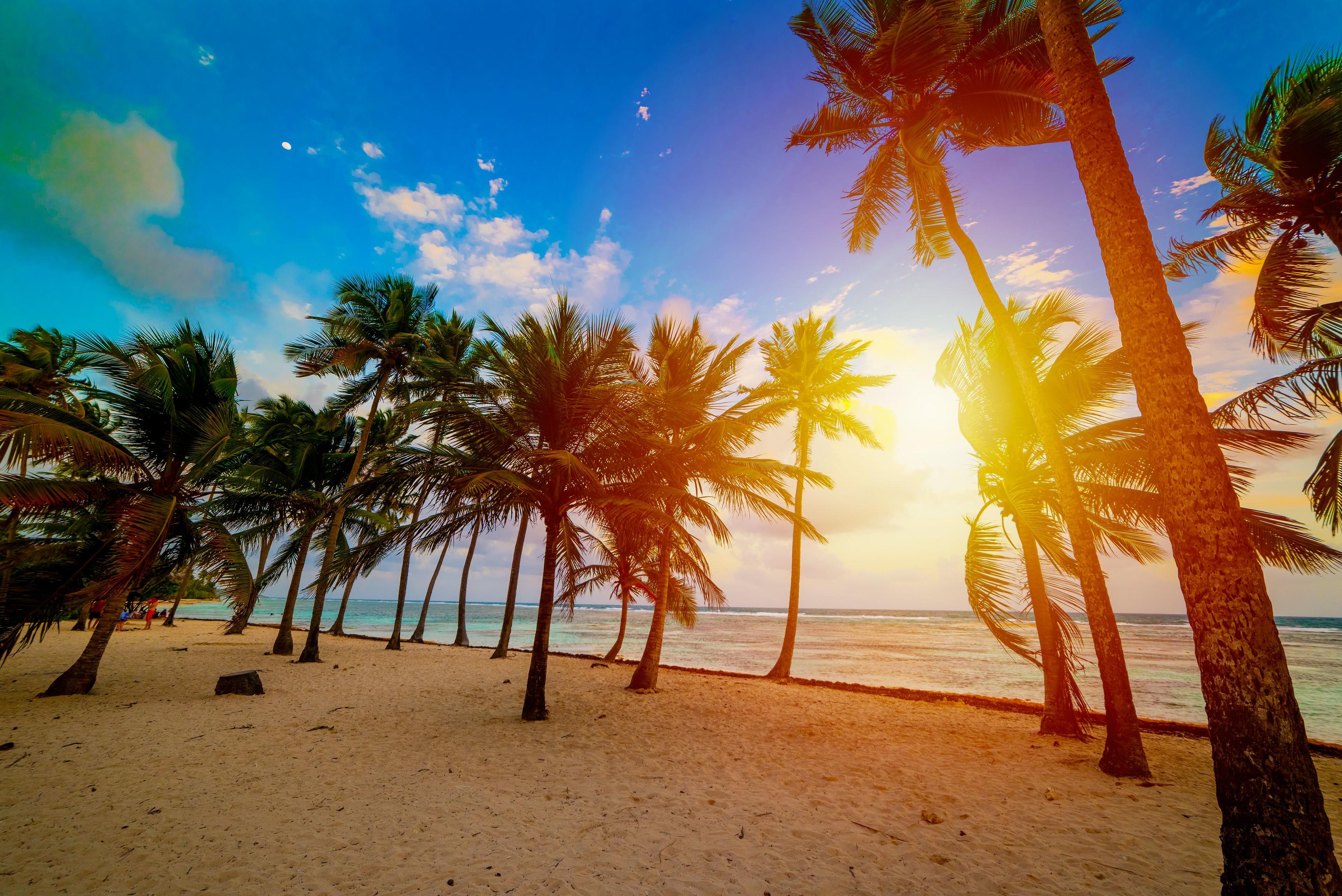 Guadeloupe Tourism – Information, Facts, Advices in Travel Guide ... Guadeloupe Tourism – Information, Facts, Advices in Travel Guide ...