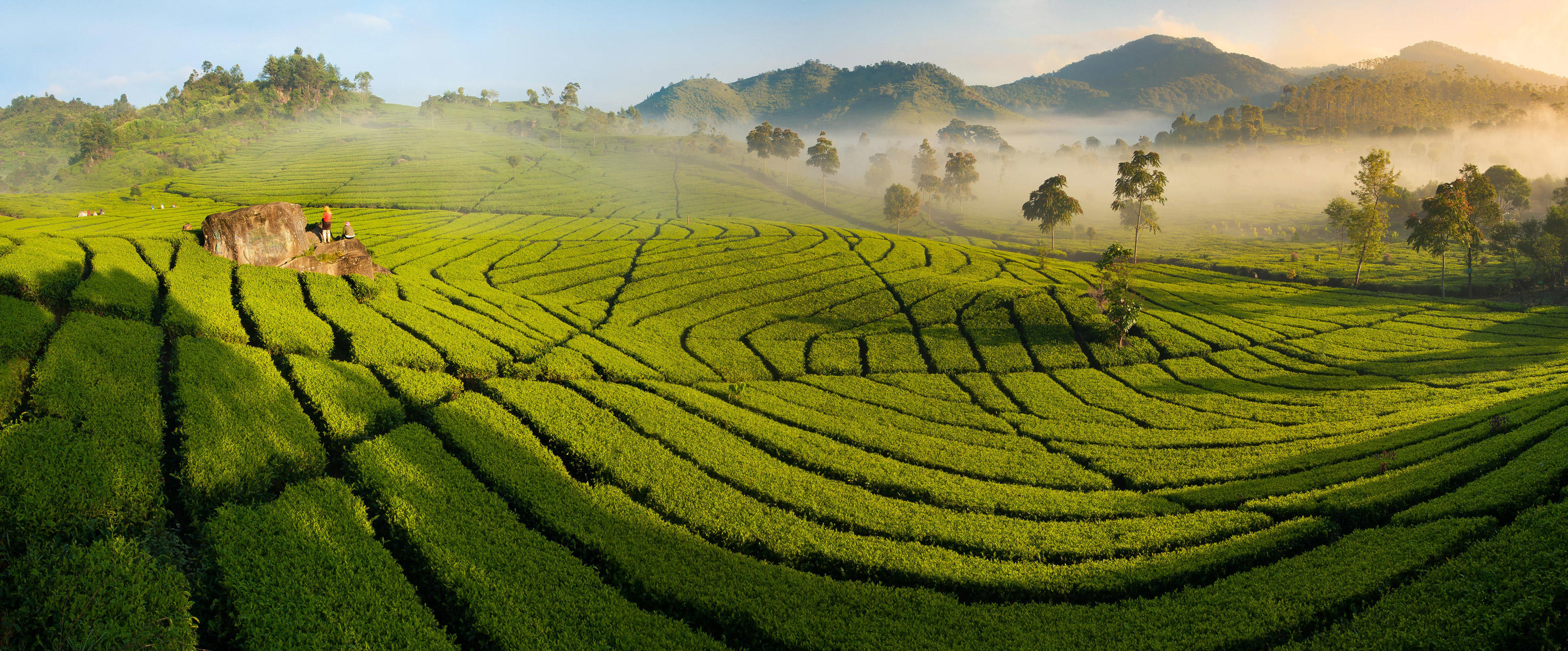 Viajar a Java, Indonesia - Guía Turística de la Isla | Planet of Hotels