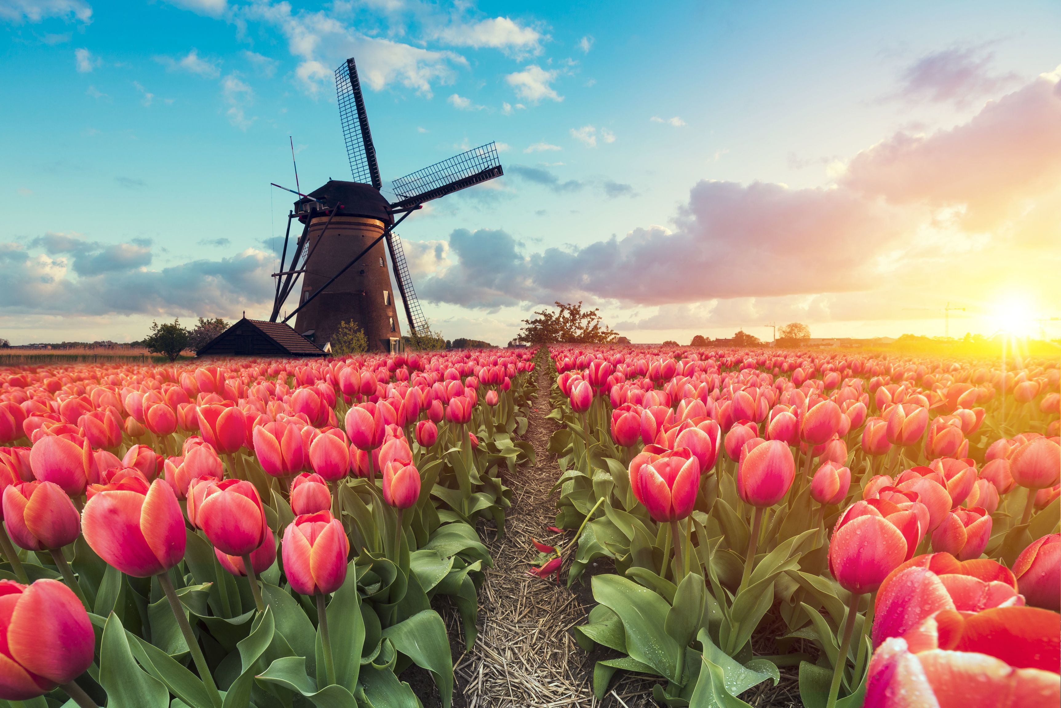 Rotterdam - City Guide | Planet of Hotels