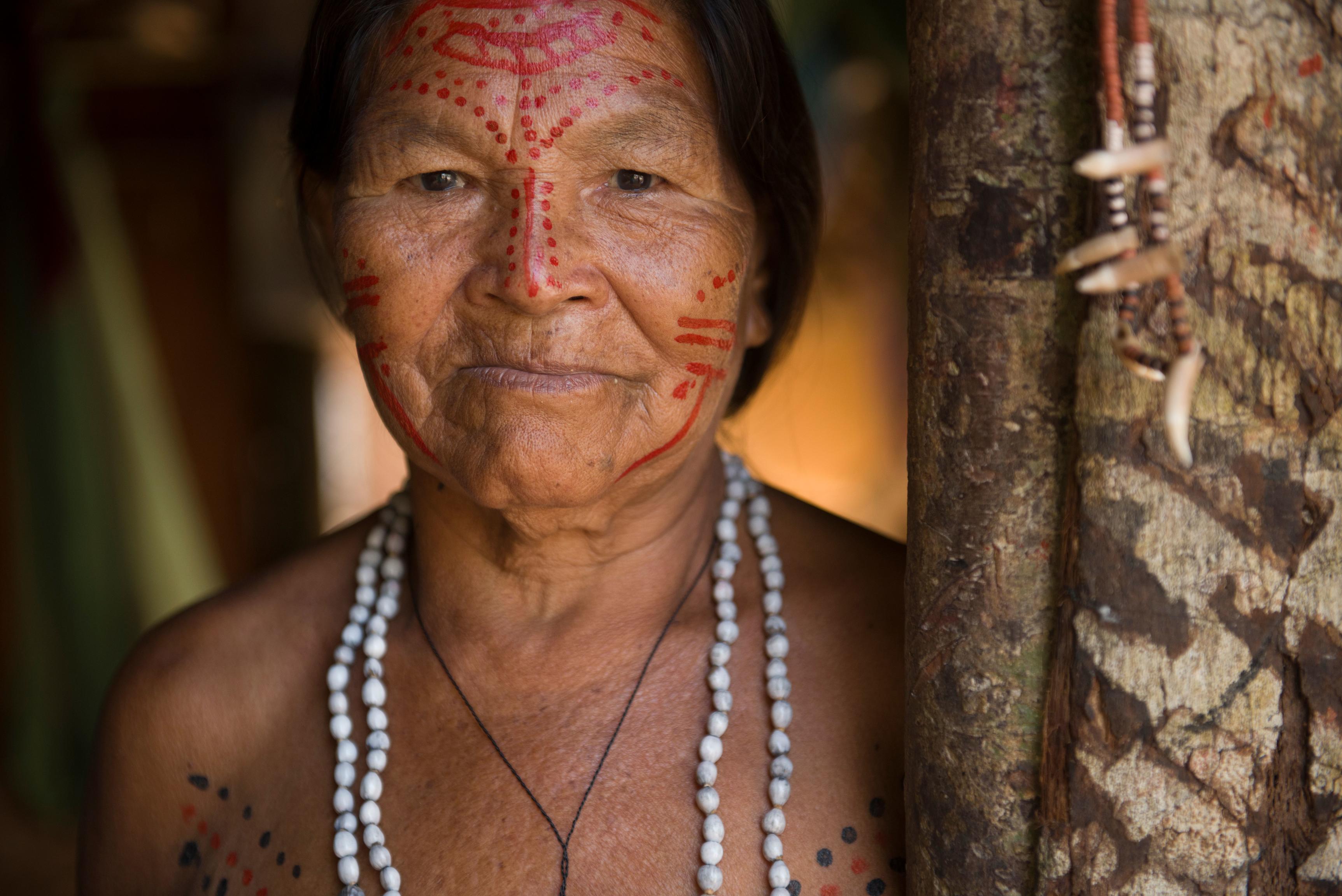 Manaus - Tourist Guide | Planet of Hotels