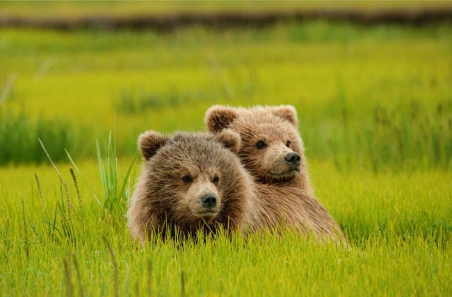 Cheap Hotels in Anchorage: Accommodation, Prices & Reviews | Alaska ...