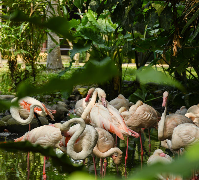 Best Zoos in the World: Articles and News | Planet of Hotels