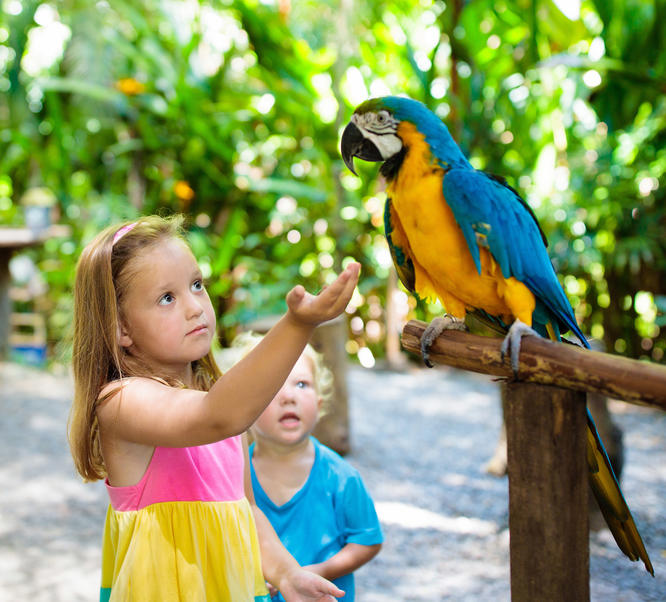 Best Zoos in the World: Articles and News | Planet of Hotels