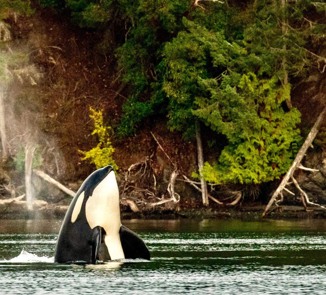 Best Islands Vacations Destinations to Visit: Articles and News ...