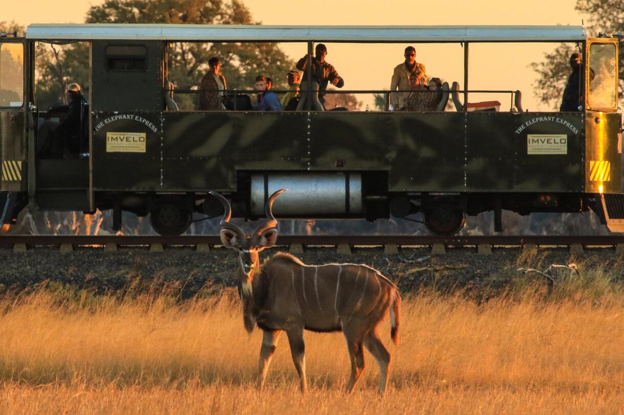 Zimbabwe launches a safari tourist train - News | Planet of Hotels