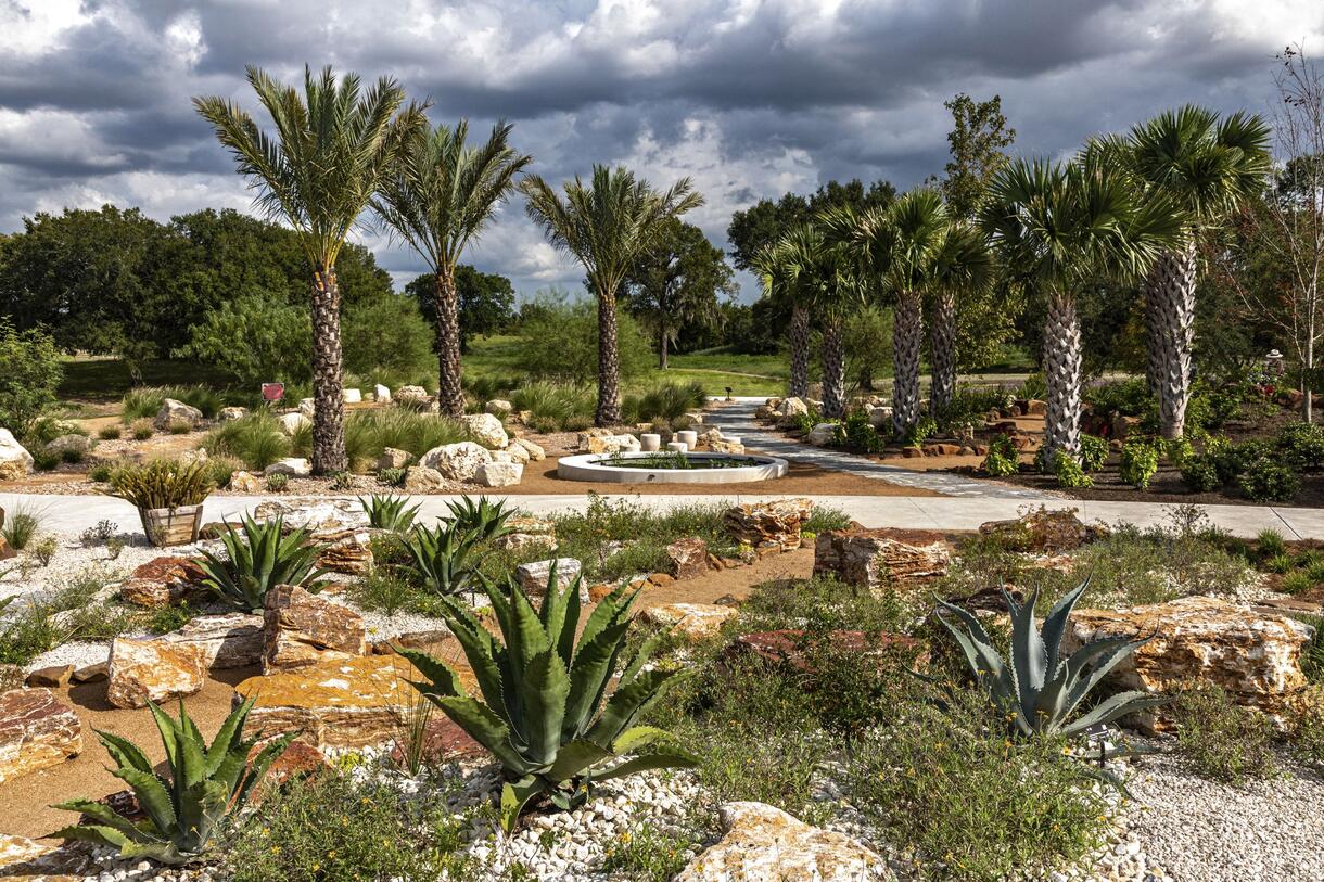 Blossoming Serenity: 7 Delightful Escapes at the Houston Botanic Garden ...