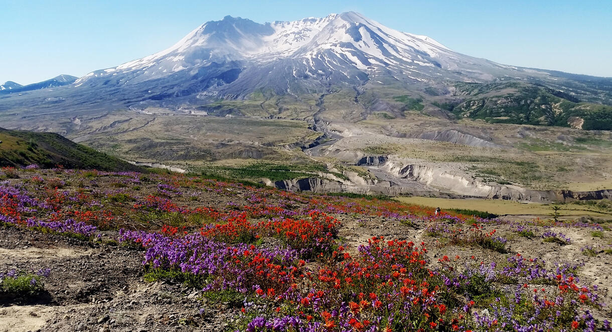 Journey Under a Volcano: The New Mount St. Helens Day Trip from Portland | Planet of Hotels