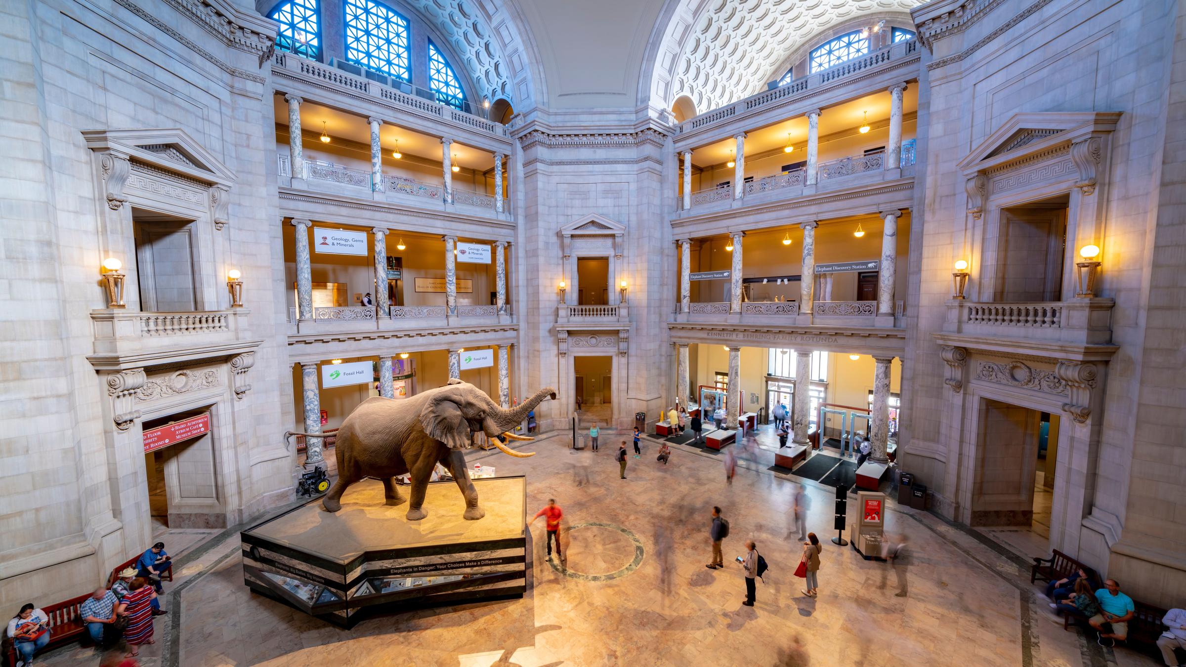 National Museum of Natural History in Washington - description, photos