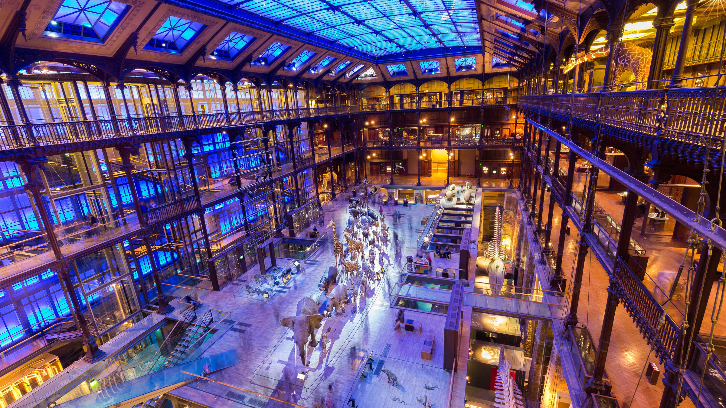 National Museum of Natural History in Paris, description of the complex