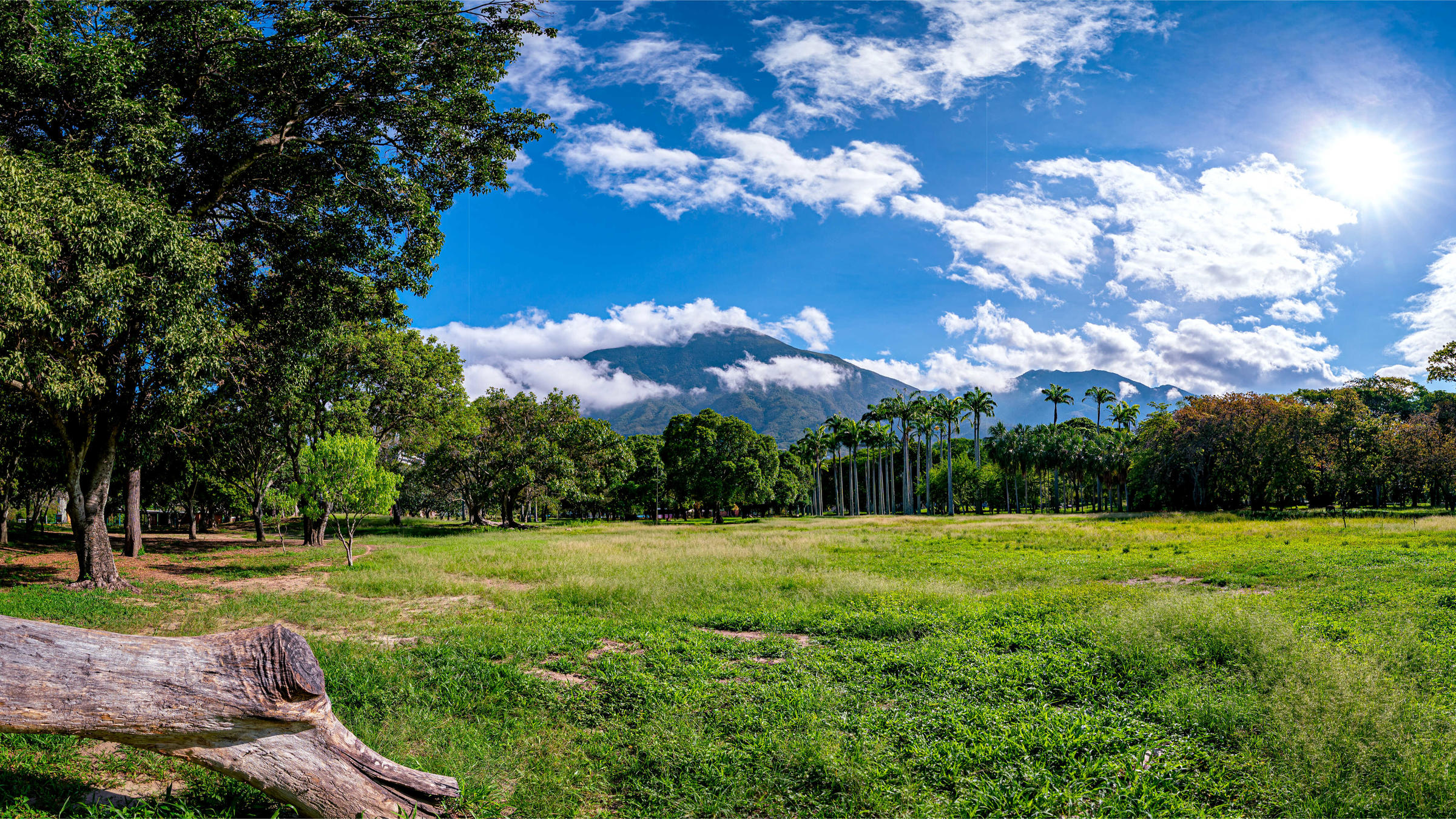 Parque del Este in Caracas - an exhibition of the composition of the ...