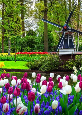 Descartes' House (Maison Descartes), Amsterdam | Planet of Hotels