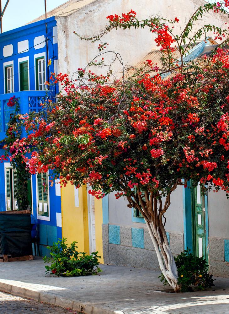 Cape Verde Tourism – Information, Facts, Advices in Travel Guide ...