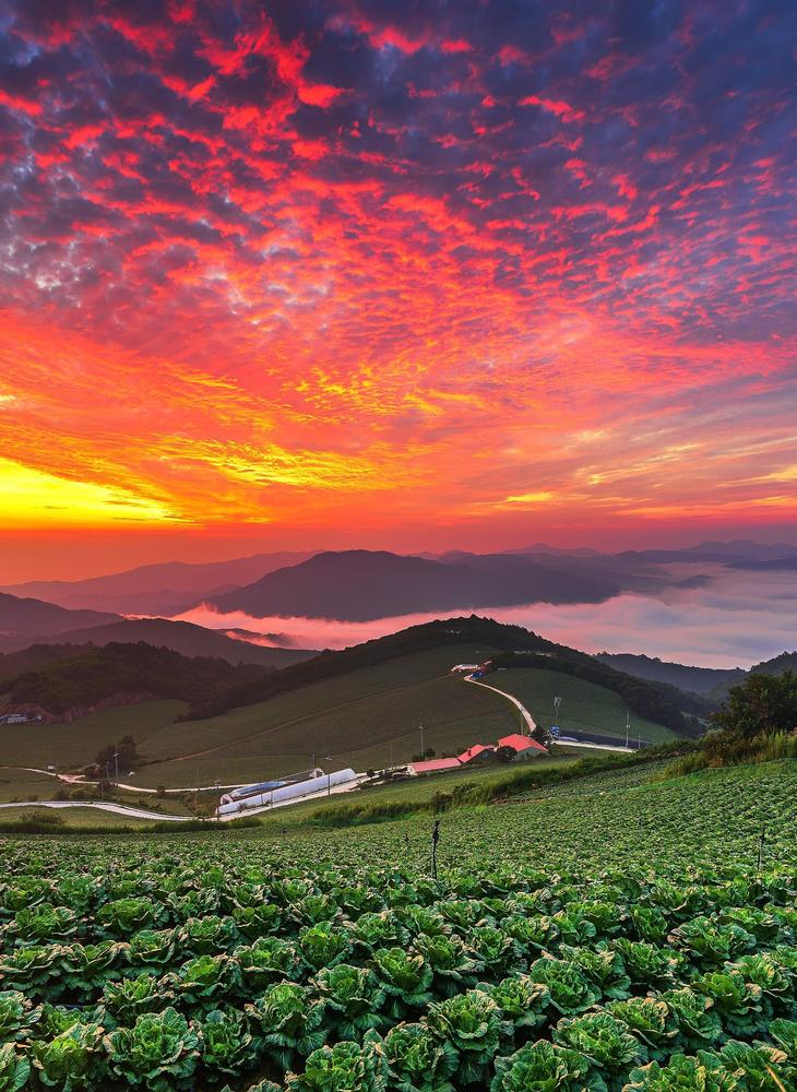 Yongin, South Korea — City Guide | Planet of Hotels