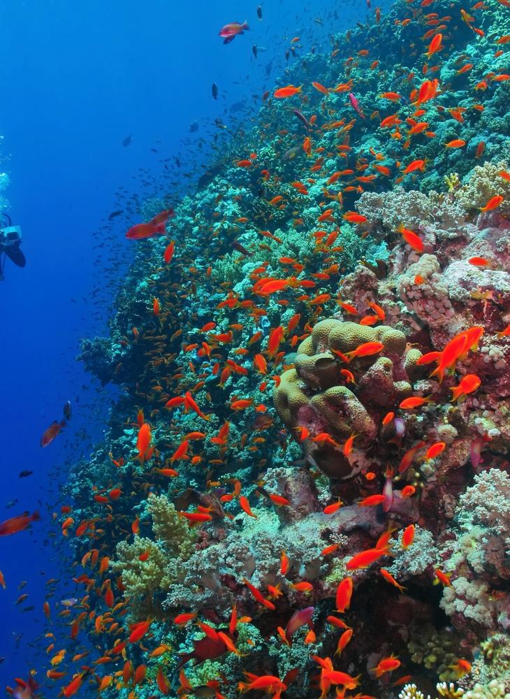 Taba - guía por la ciudad | Planet of Hotels