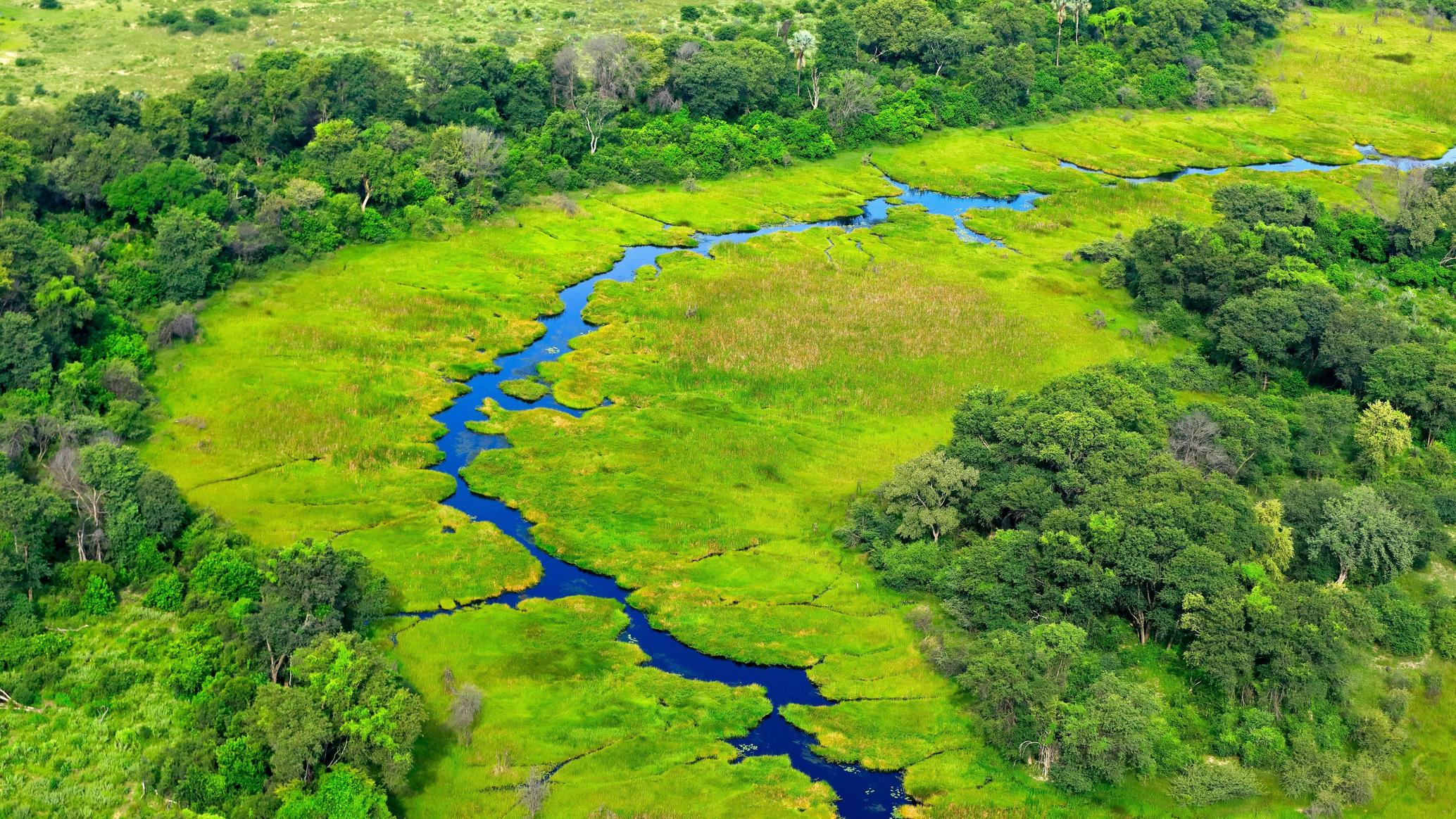 Botswana Tourism – Information, Facts, Advices in Travel Guide | Planet ...