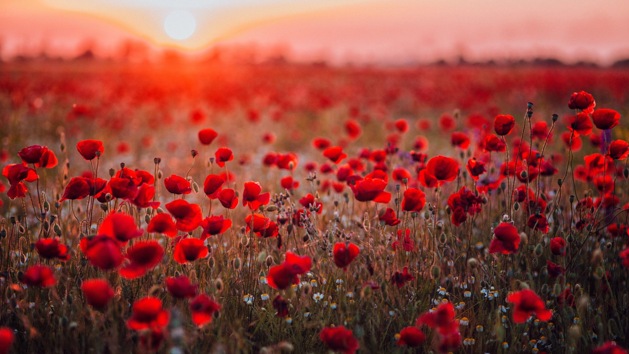 Crimea Tourism – Information, Facts, Advices in Travel Guide | Planet ...