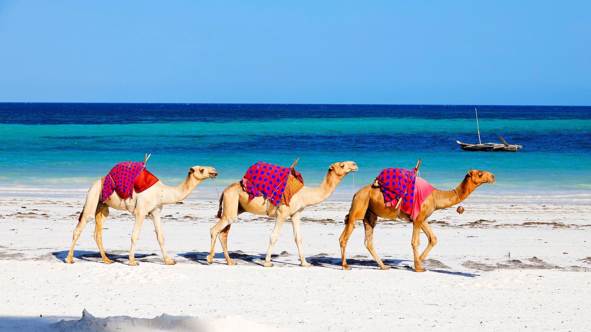 Que hacer en diani beach | Portugalessence.com