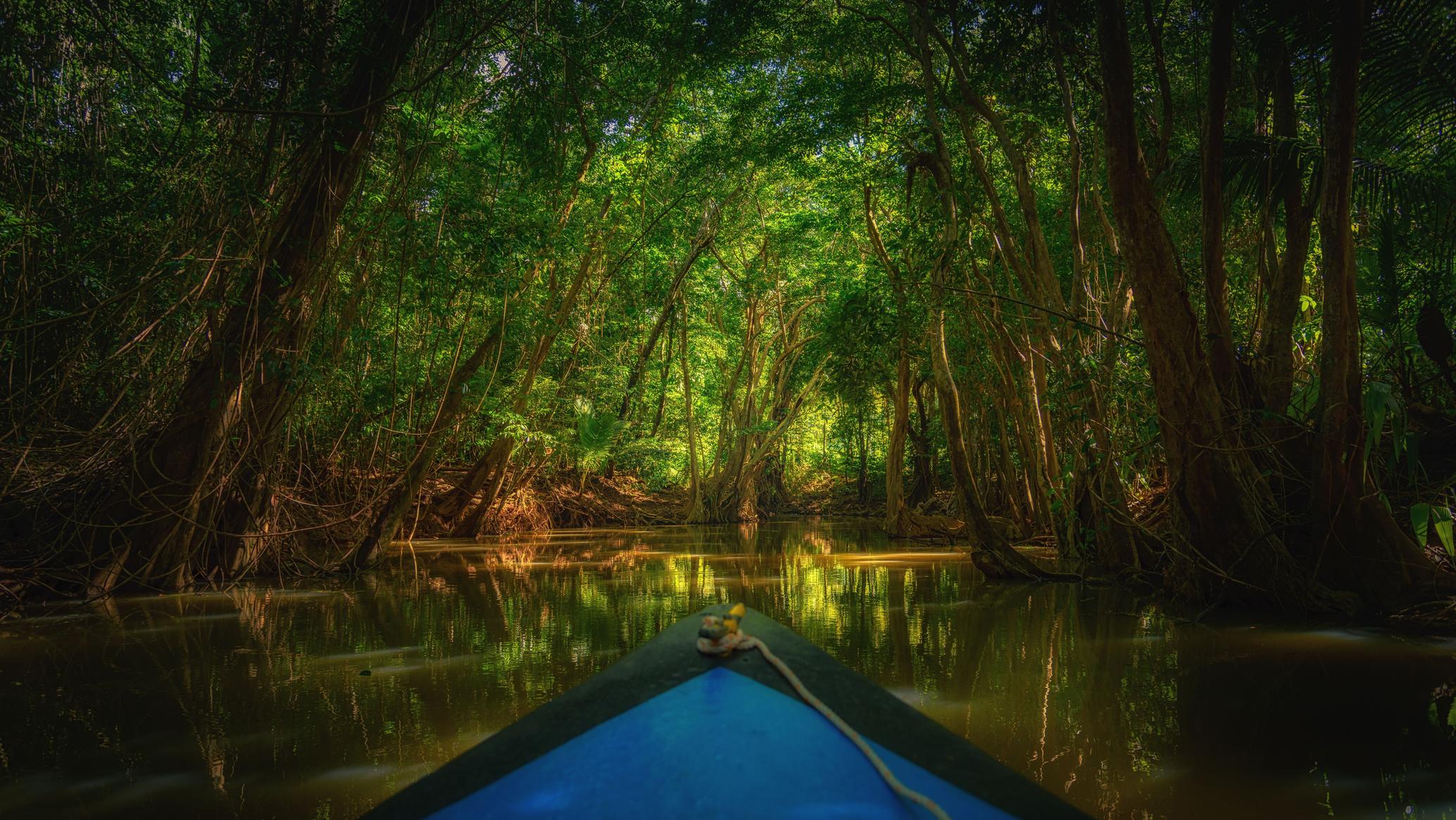 Dominica Tourism – Information, Facts, Advices in Travel Guide | Planet ...