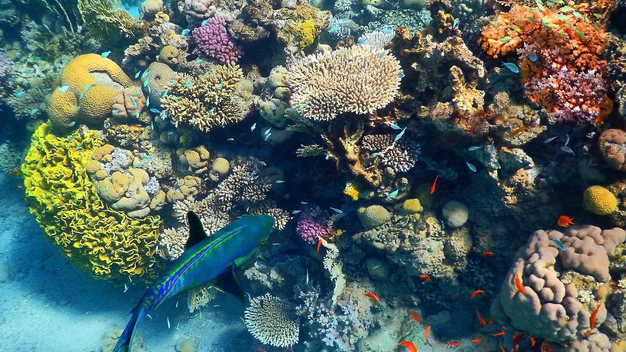 Eilat, Israël - guide touristique de la ville | Planet of Hotels