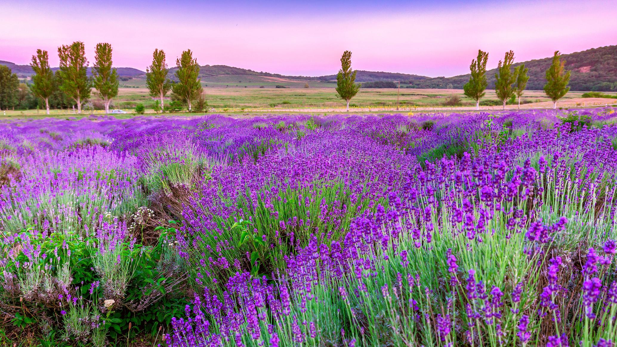 Great Plain, Hungary - Travel Guide | Planet of Hotels