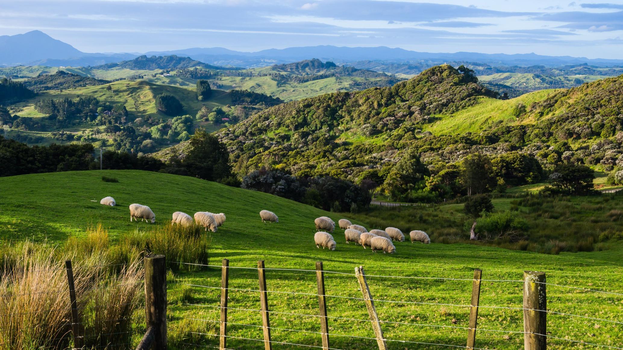 Hanmer Springs - guía por la ciudad | Planet of Hotels