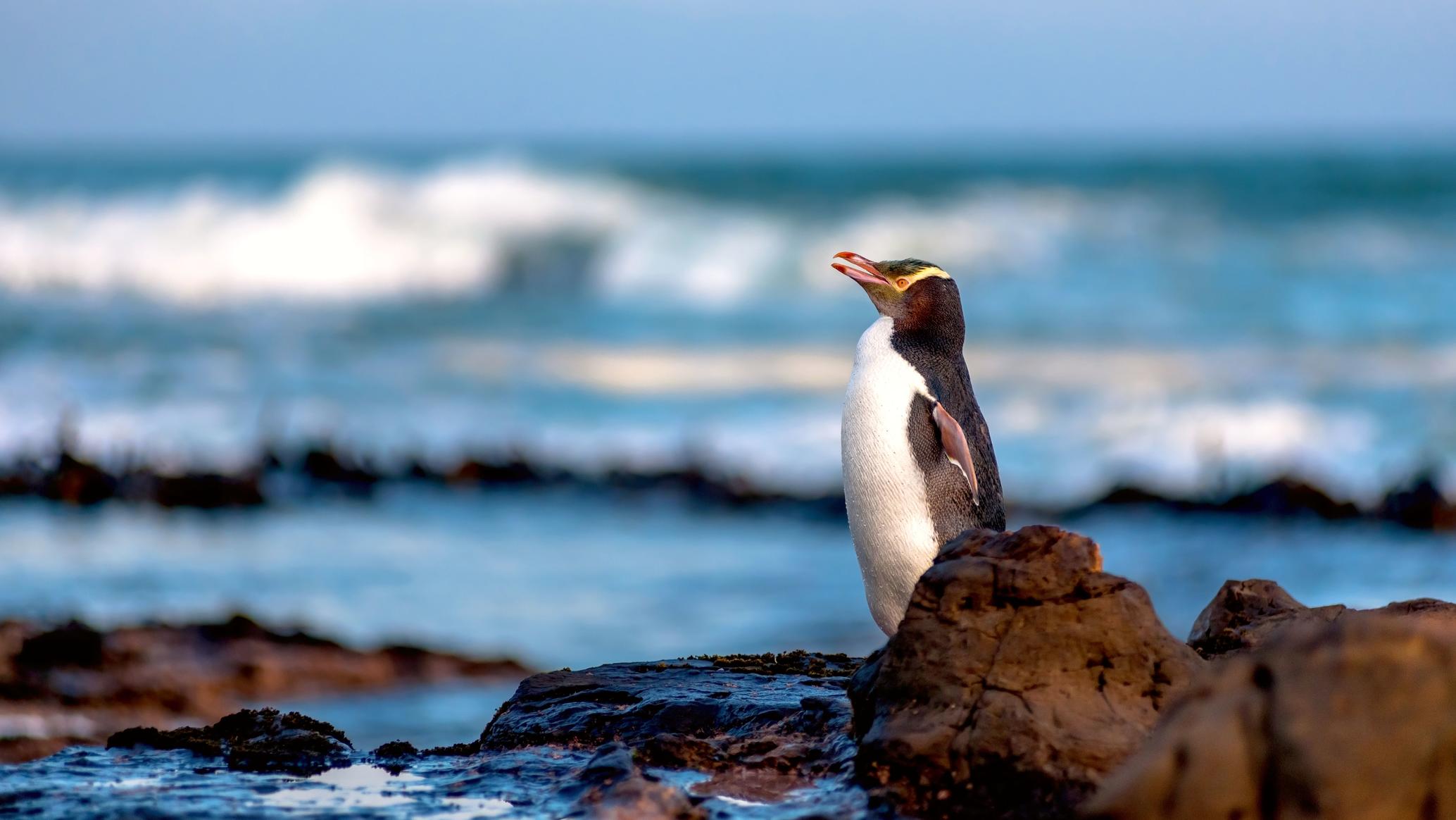 Invercargill - Tourist Guide | Planet of Hotels