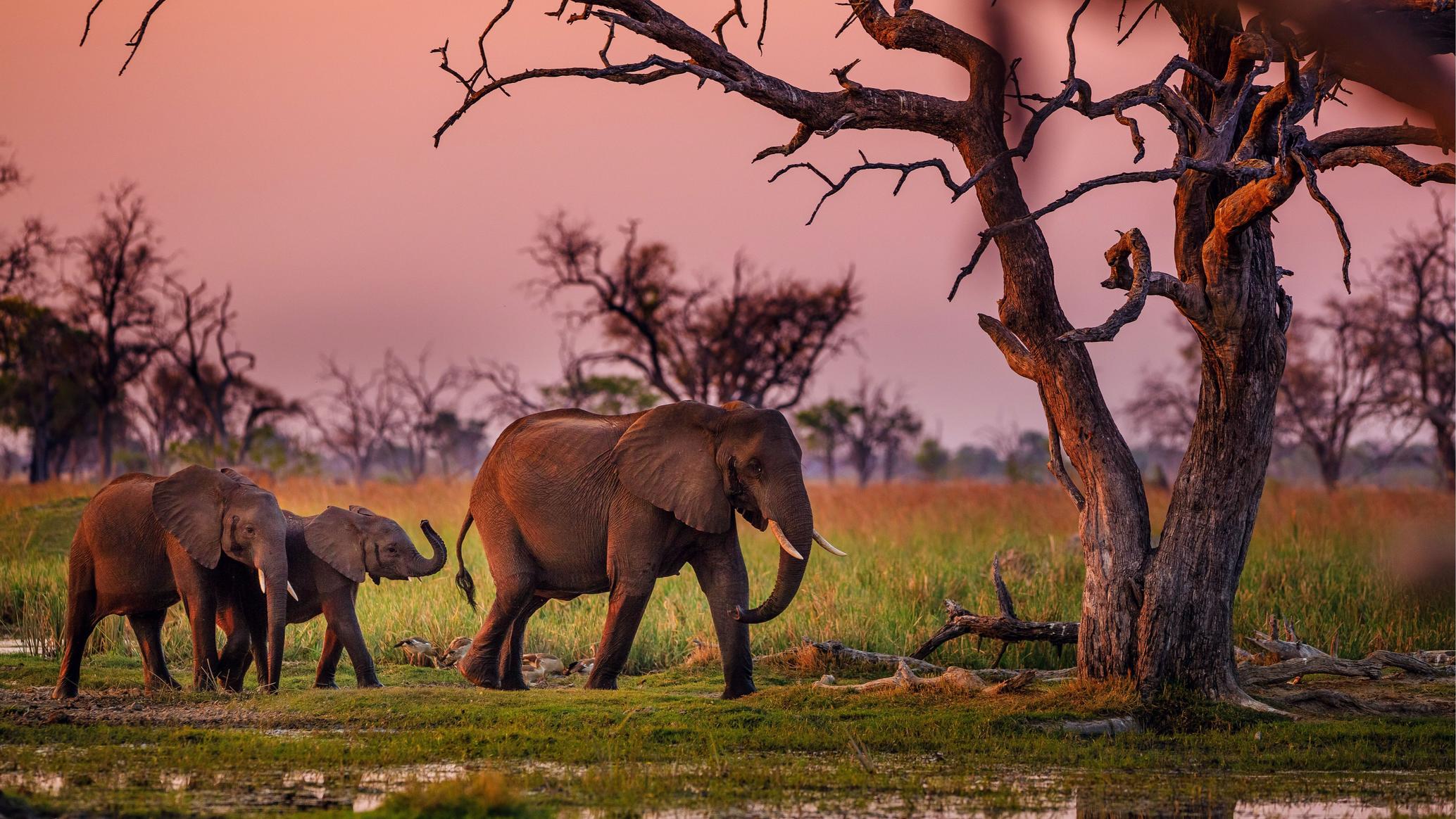 Kasane - Tourist Guide | Planet of Hotels