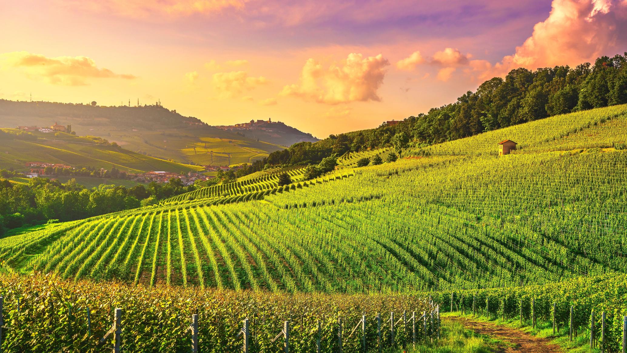 McLaren Vale - Tourist Guide | Planet of Hotels