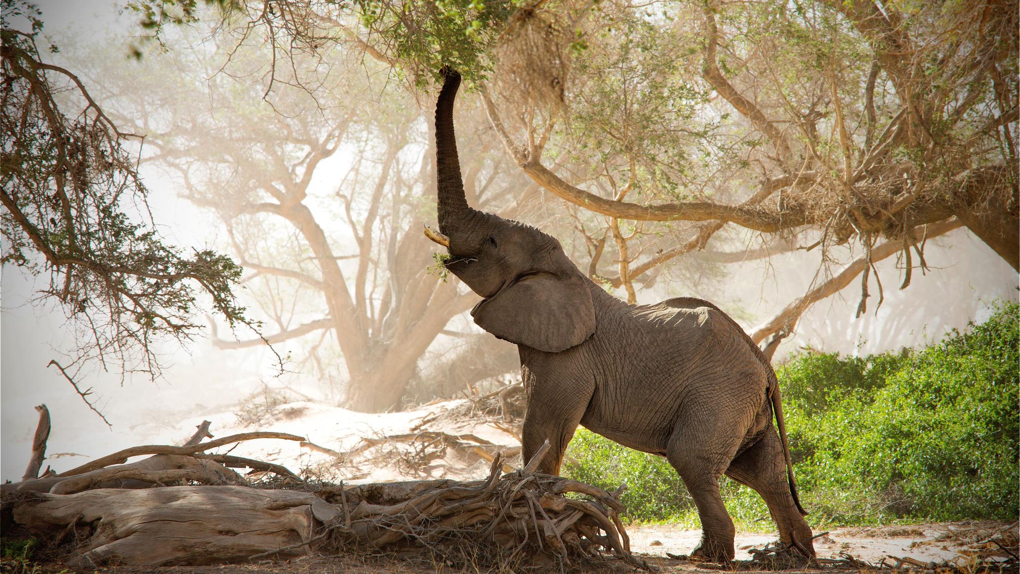 Namibia Tourism – Information, Facts, Advices in Travel Guide | Planet ...