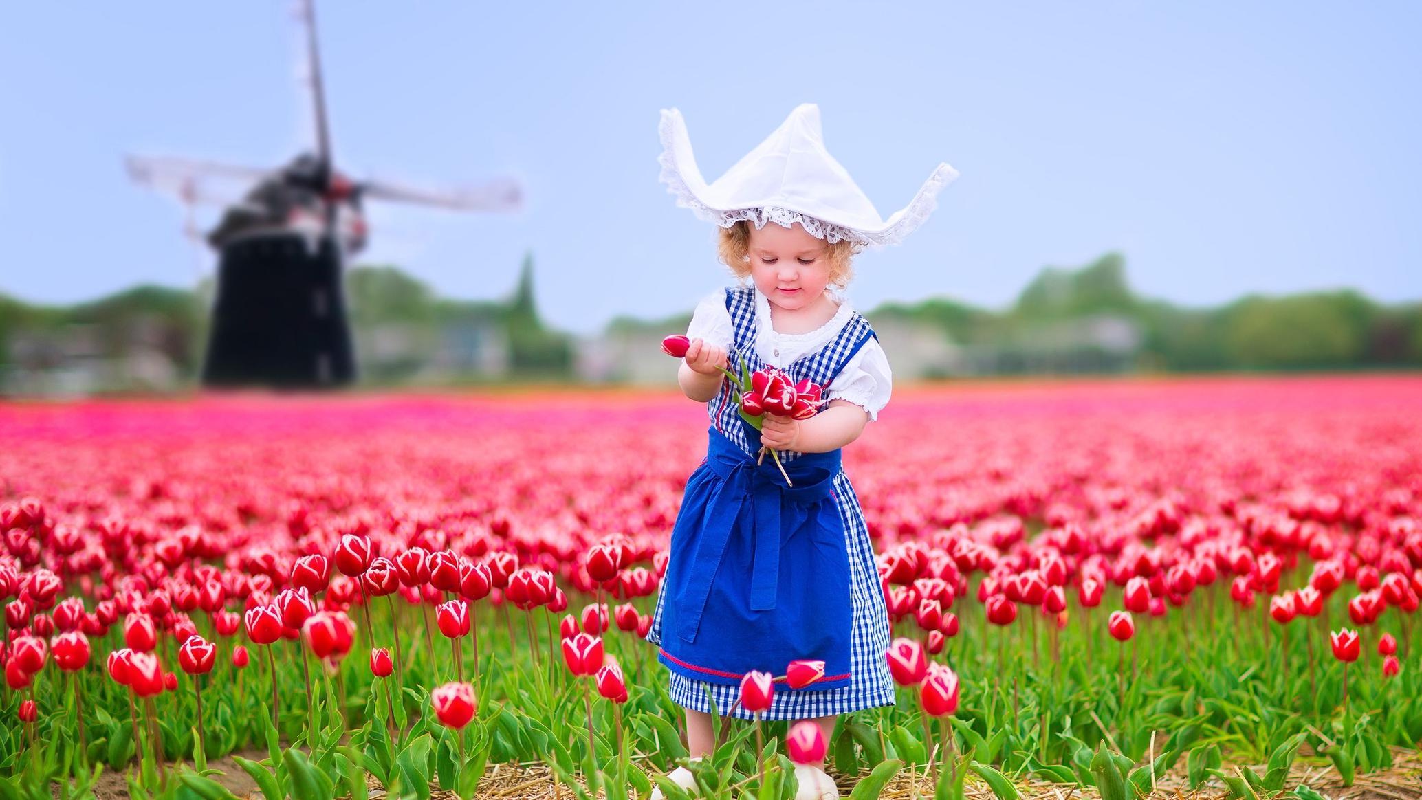 The Netherlands Tourism – Information, Facts, Advices in Travel Guide ...