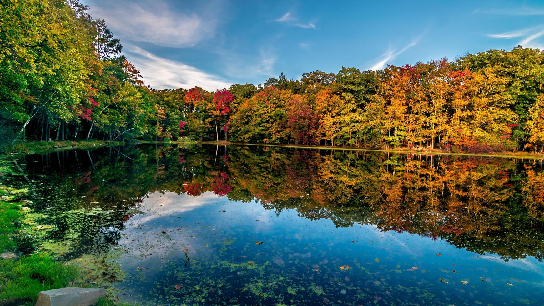 New Hope, USA — City Guide | Planet of Hotels