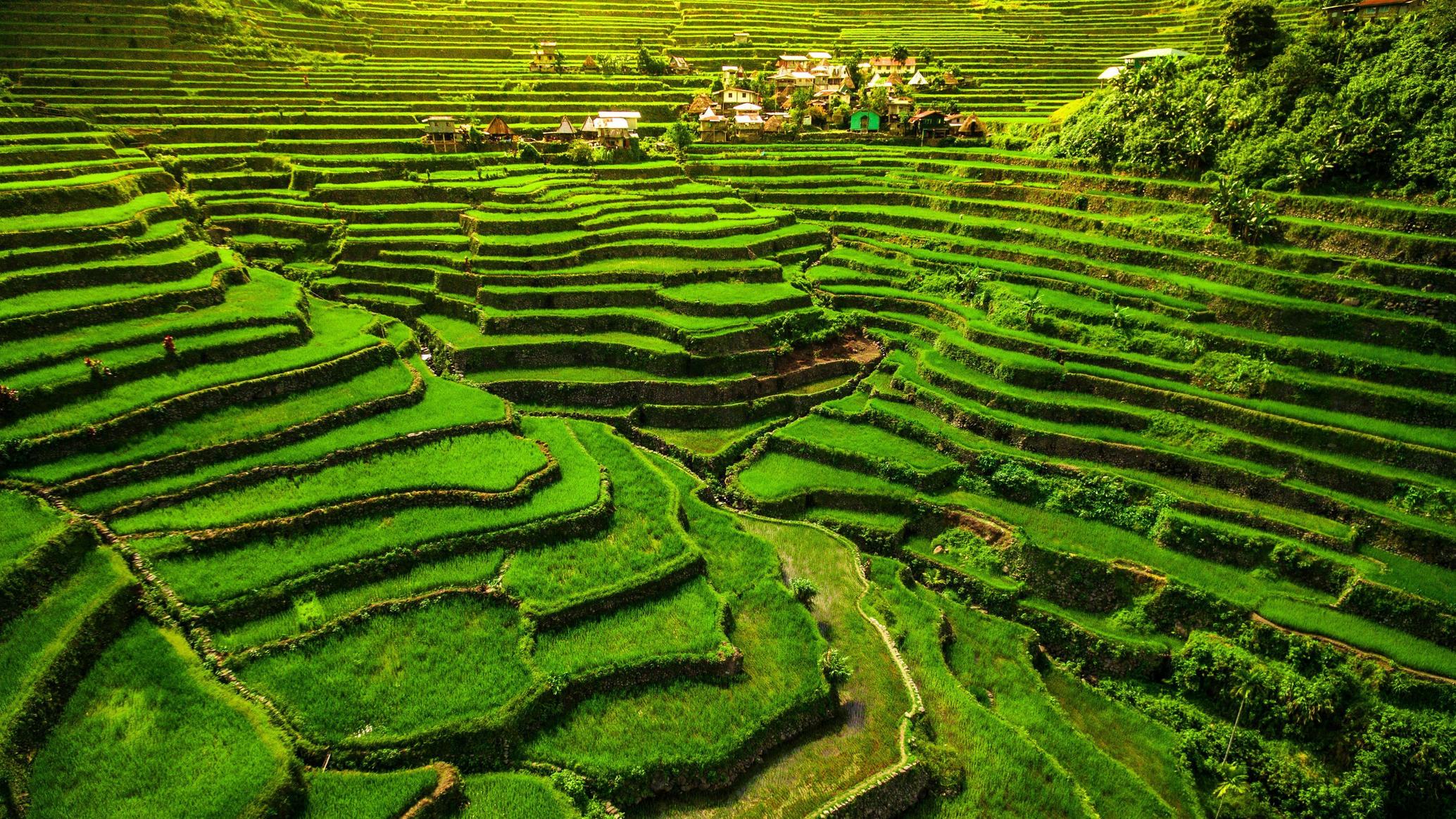 Philippines Tourism – Information, Facts, Advices in Travel Guide ...
