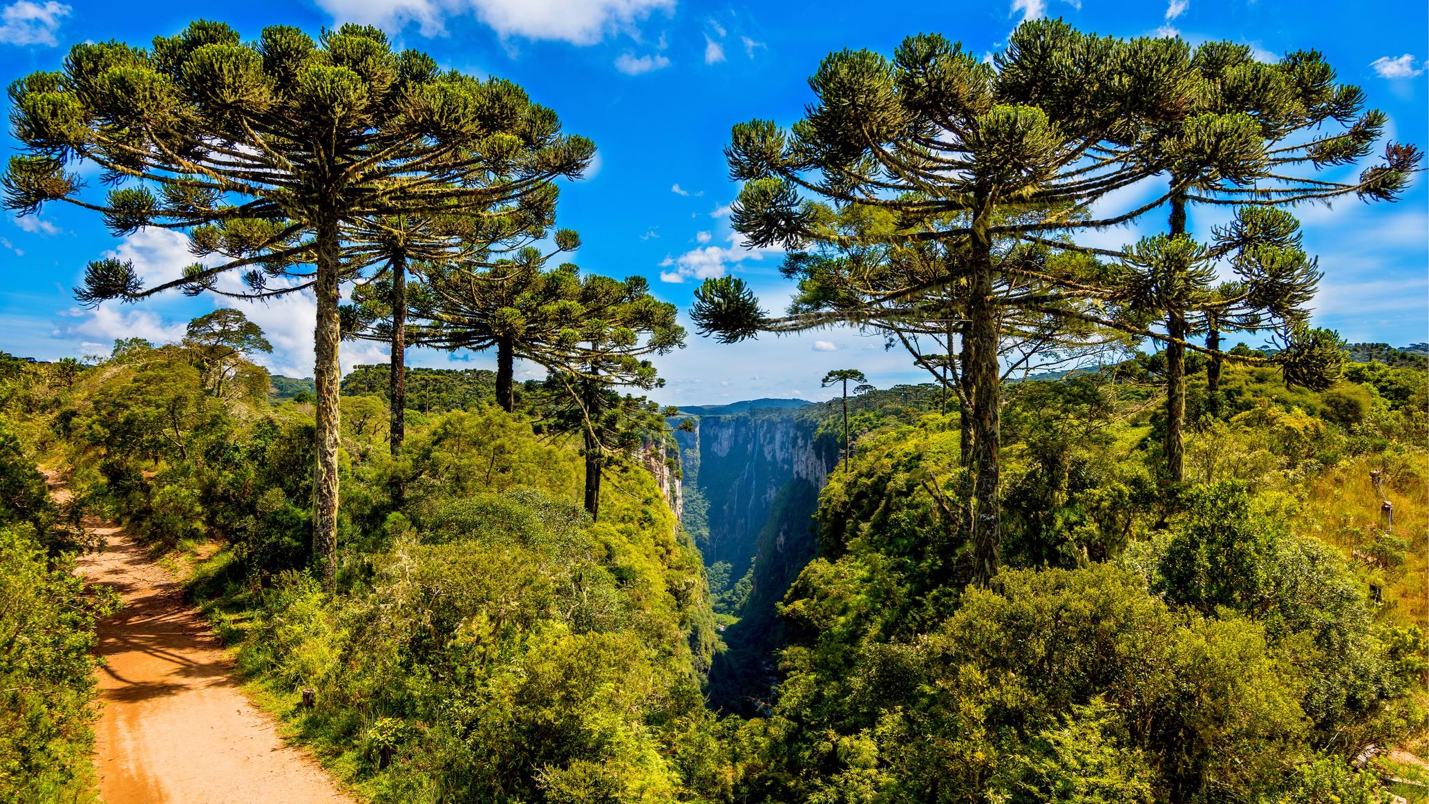 South Brazil, Brazil - Travel Guide | Planet of Hotels