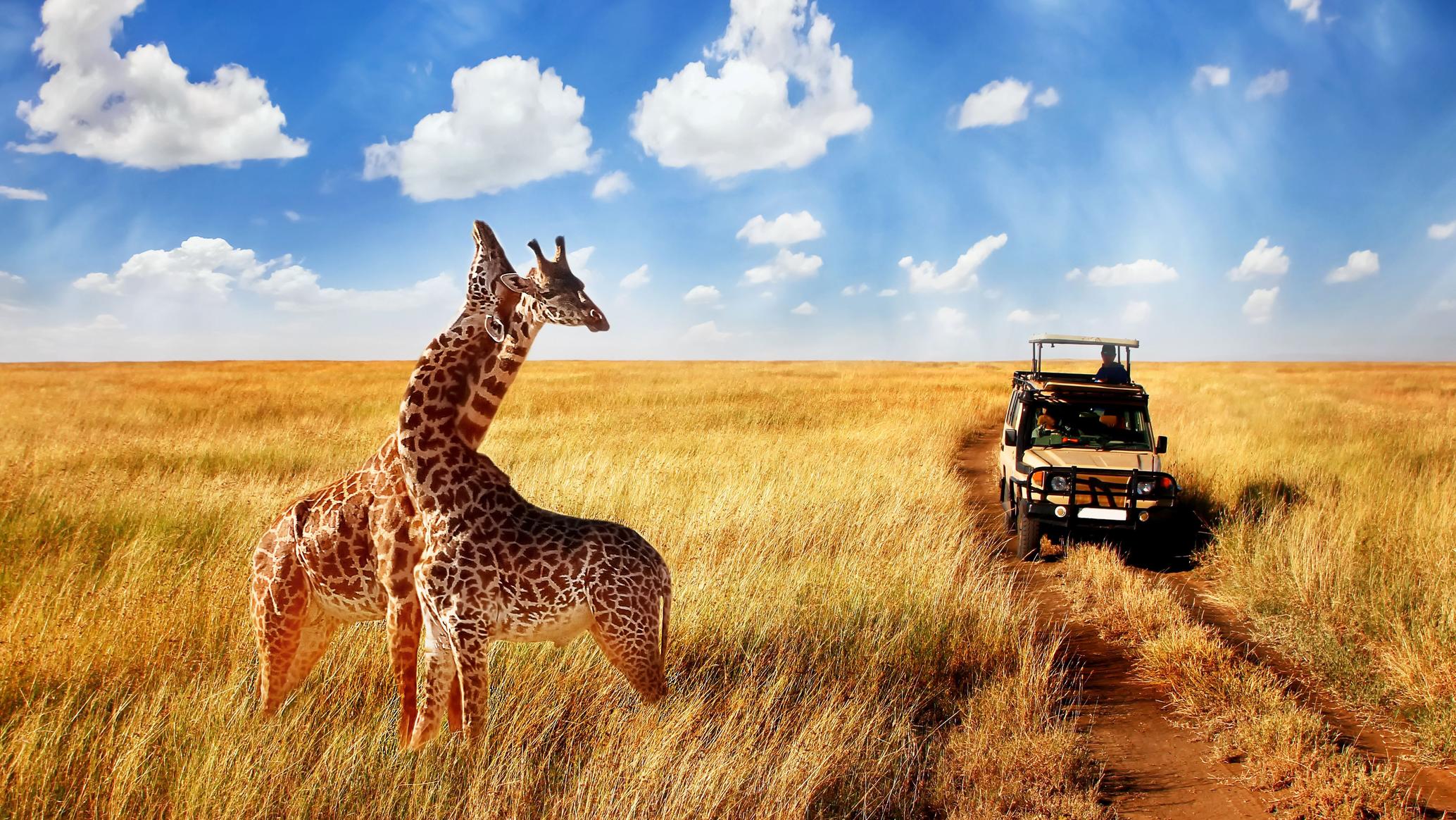 Tanzania Tourism – Information, Facts, Advices in Travel Guide | Planet ...