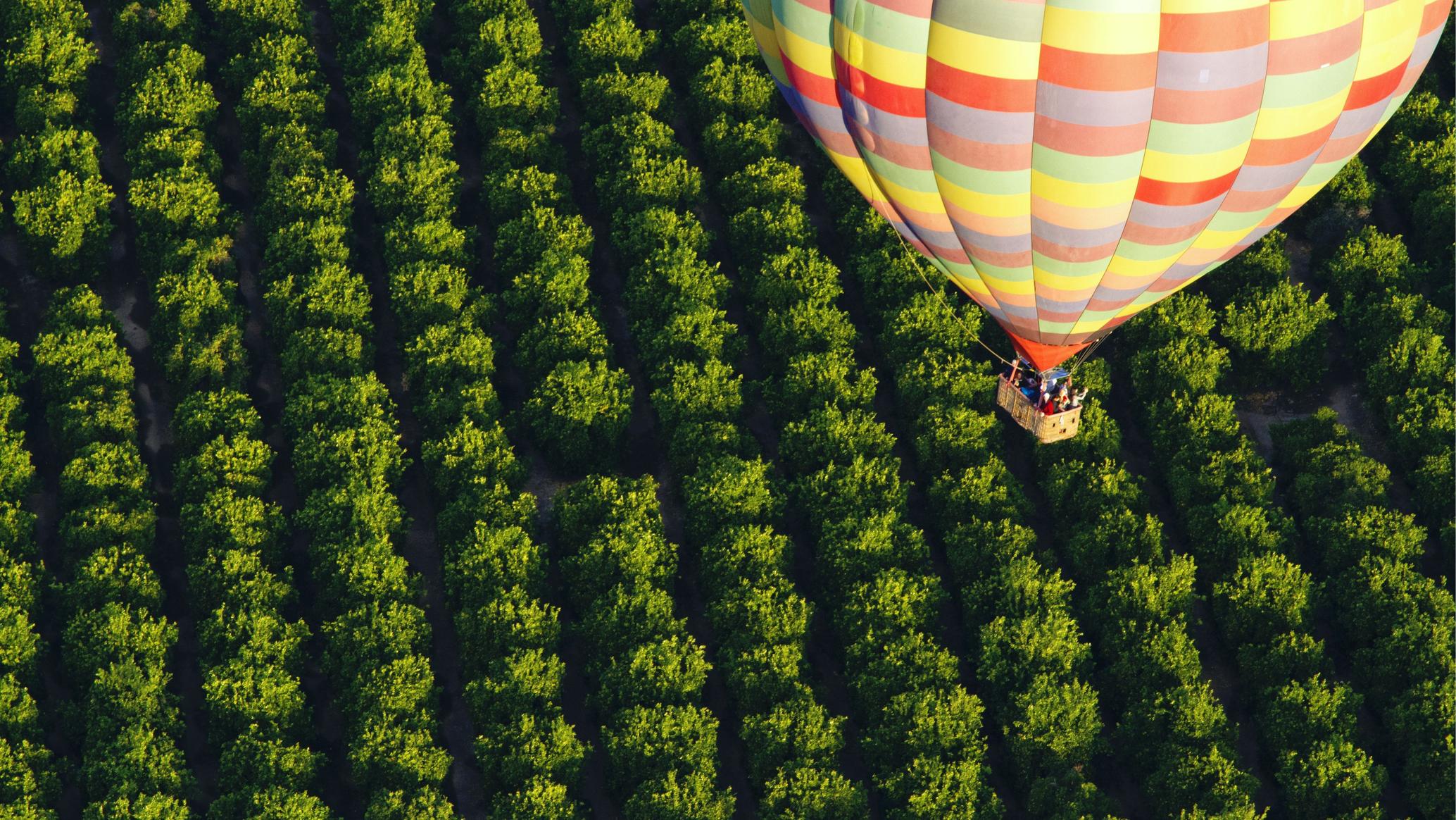 Temecula - guía por la ciudad | Planet of Hotels