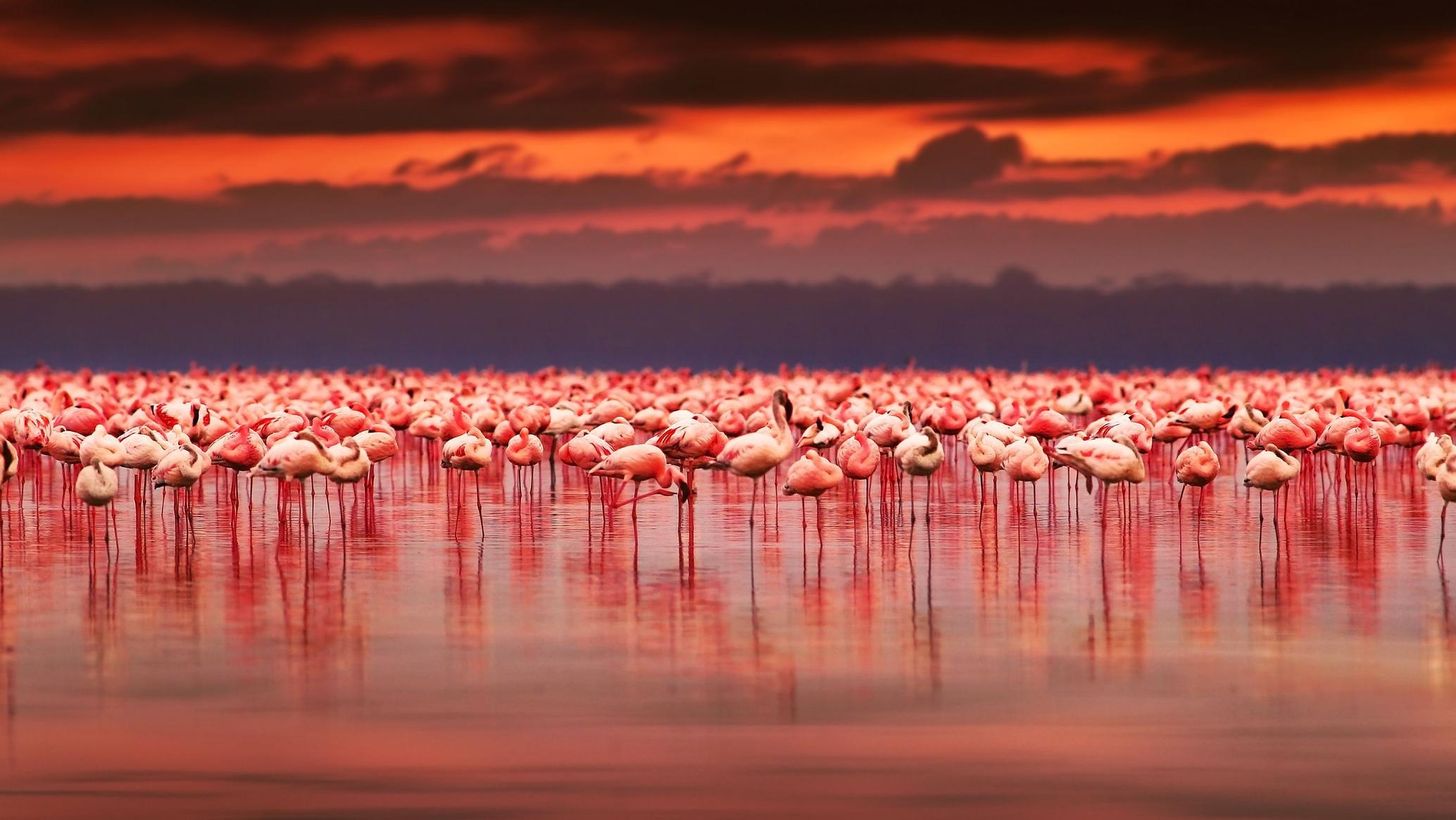 Africa - Tourist Guide | Planet of Hotels