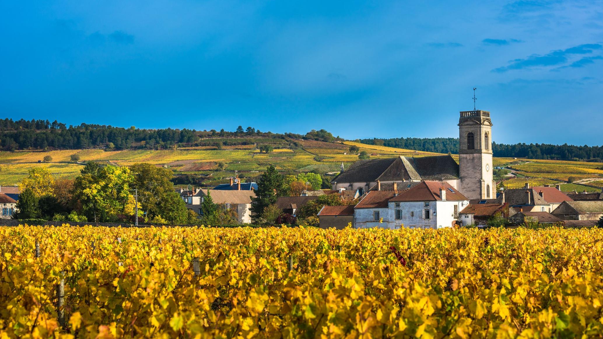 Beaune, France — Tourist Guide | Planet of Hotels
