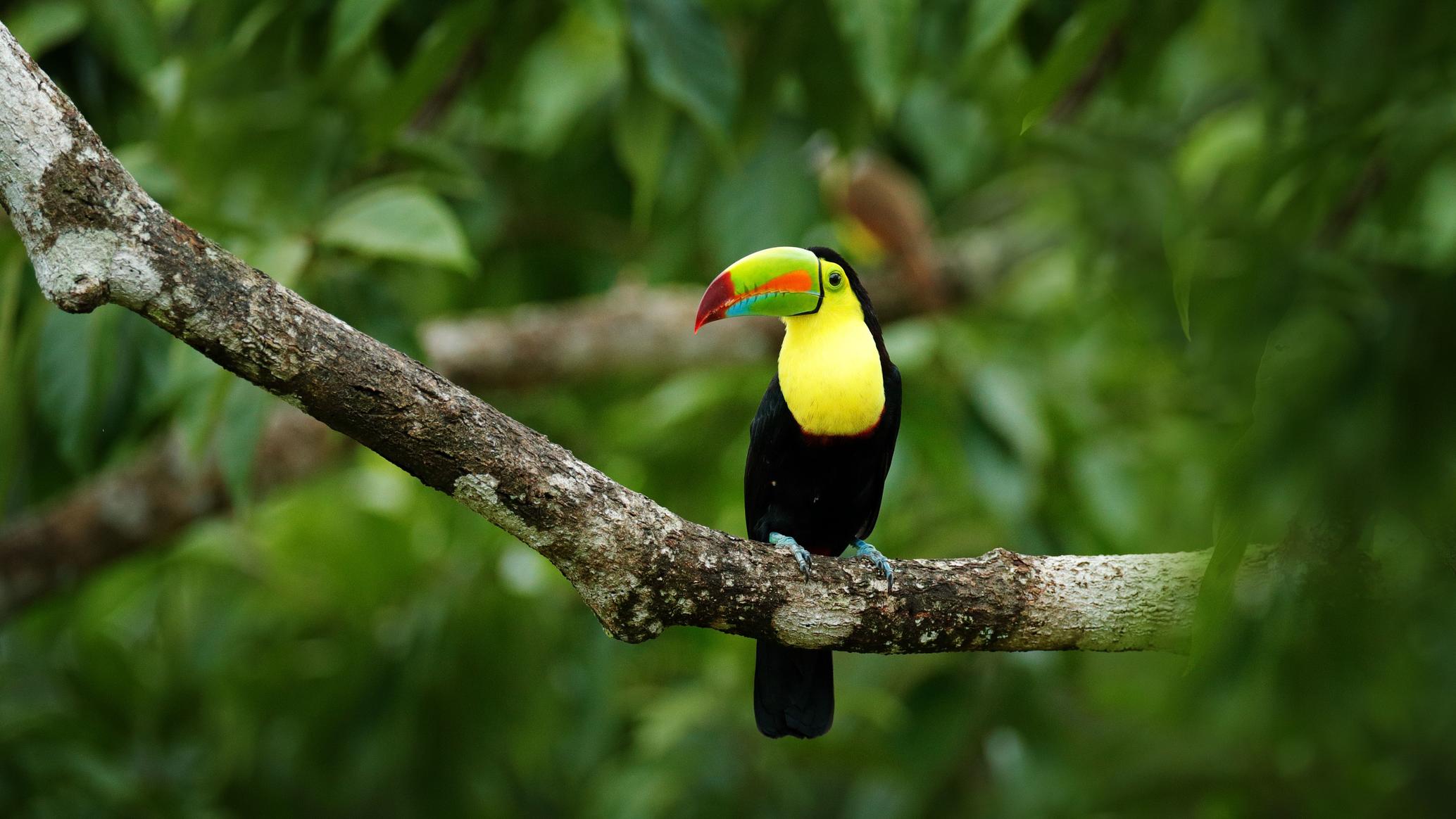 Caracas - Tourist Guide | Planet of Hotels