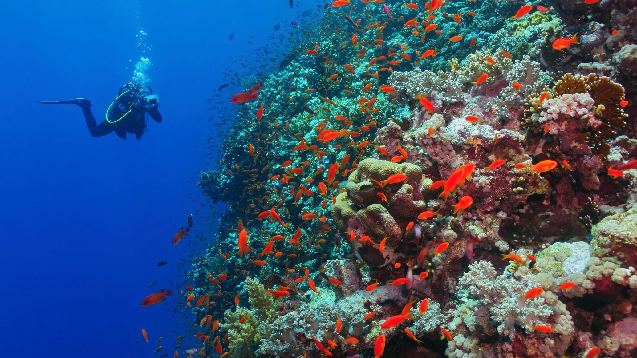 Dahab - guía por la ciudad | Planet of Hotels