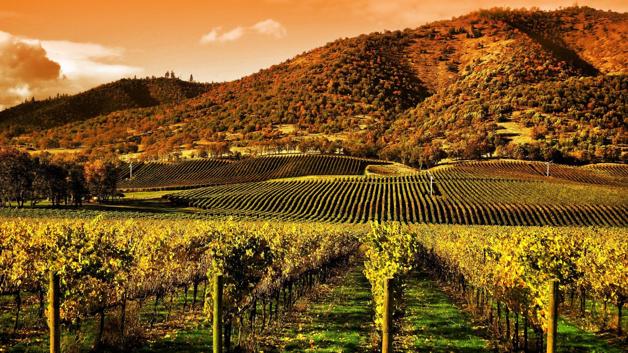 Napa - Tourist Guide | Planet of Hotels