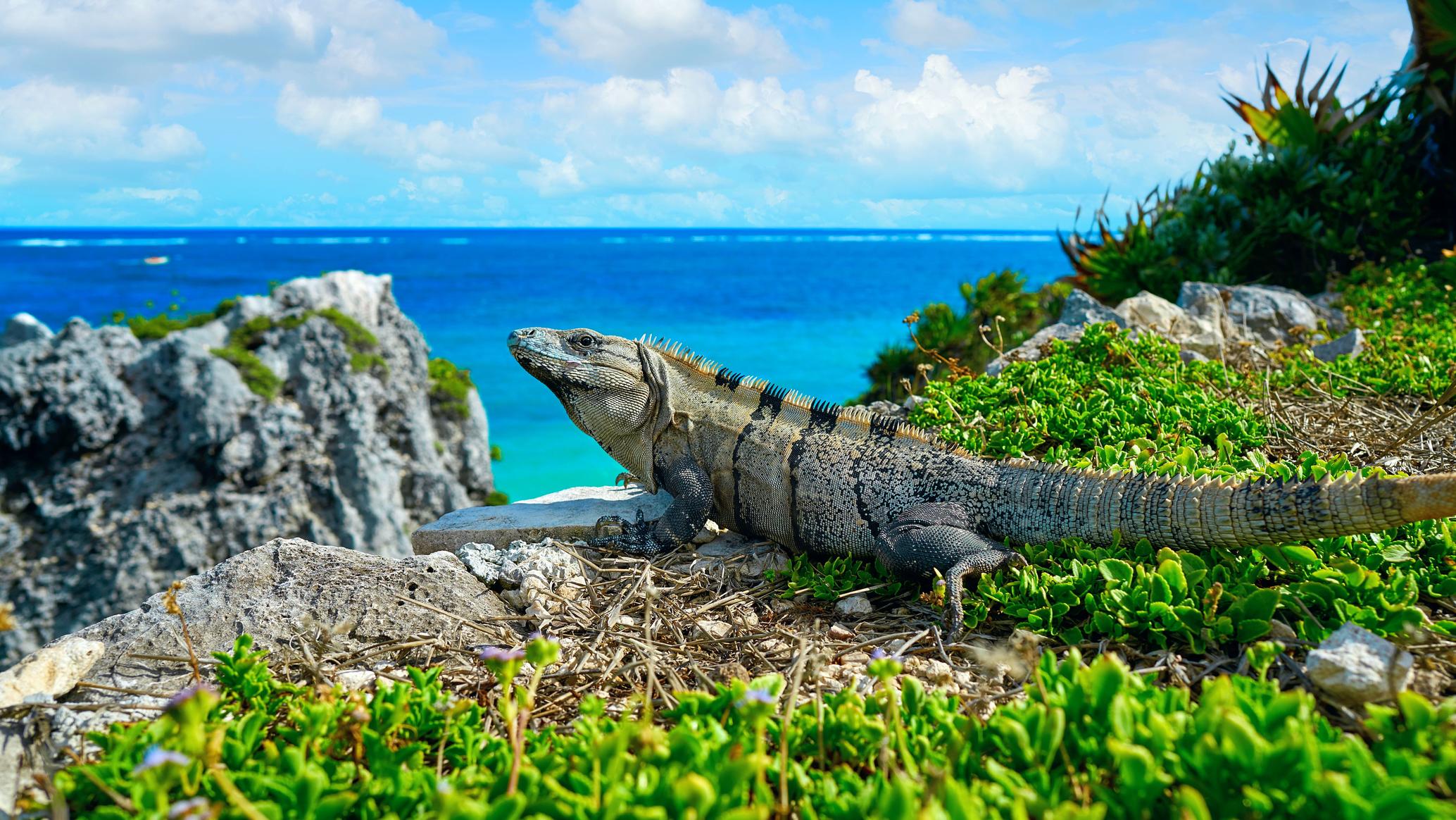 Tulum - guía por la ciudad | Planet of Hotels